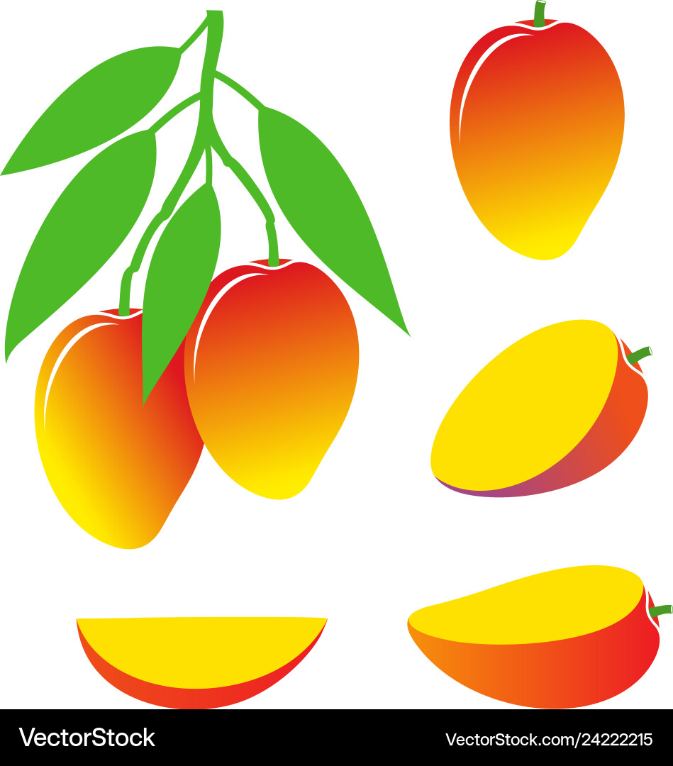 Mango Royalty Free Vector Image - VectorStock