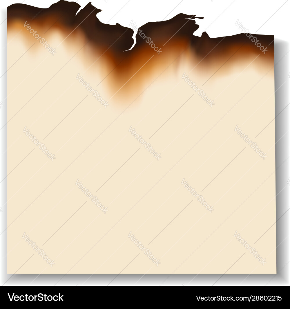 Piece paper with burnt edges isolated page Vector Image