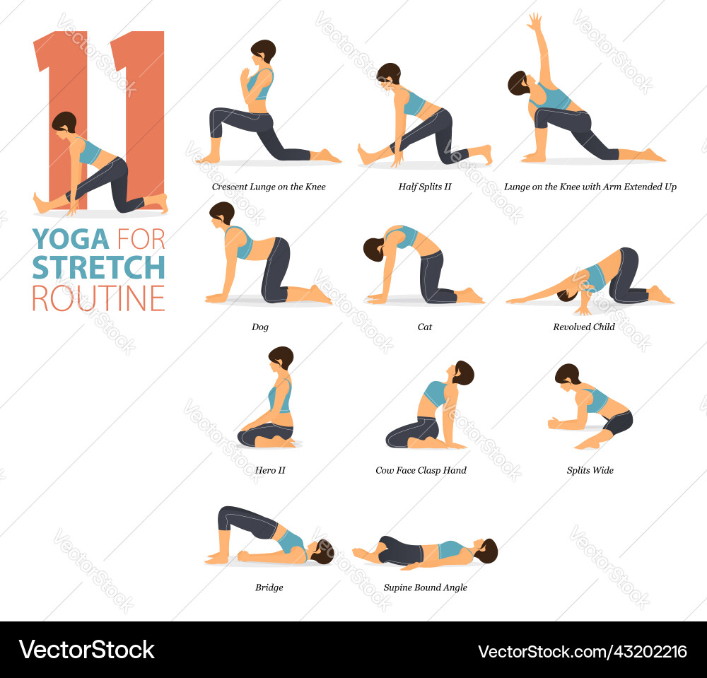 11 Yoga Poses for Stretching & Wellness Vector Image