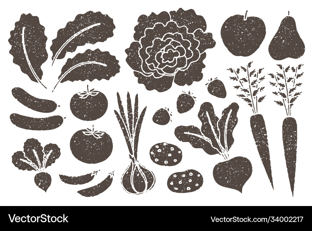 Grunge farm produce set with grainy texture Vector Image