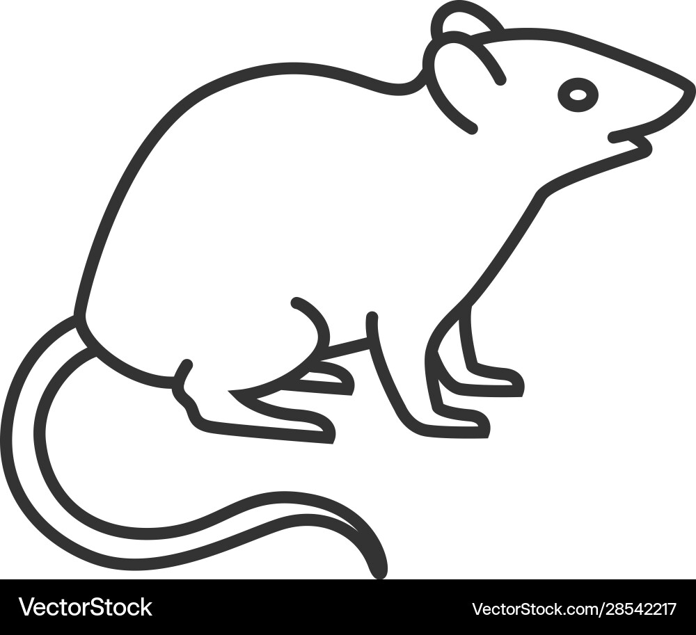 Mouse linear icon Royalty Free Vector Image - VectorStock