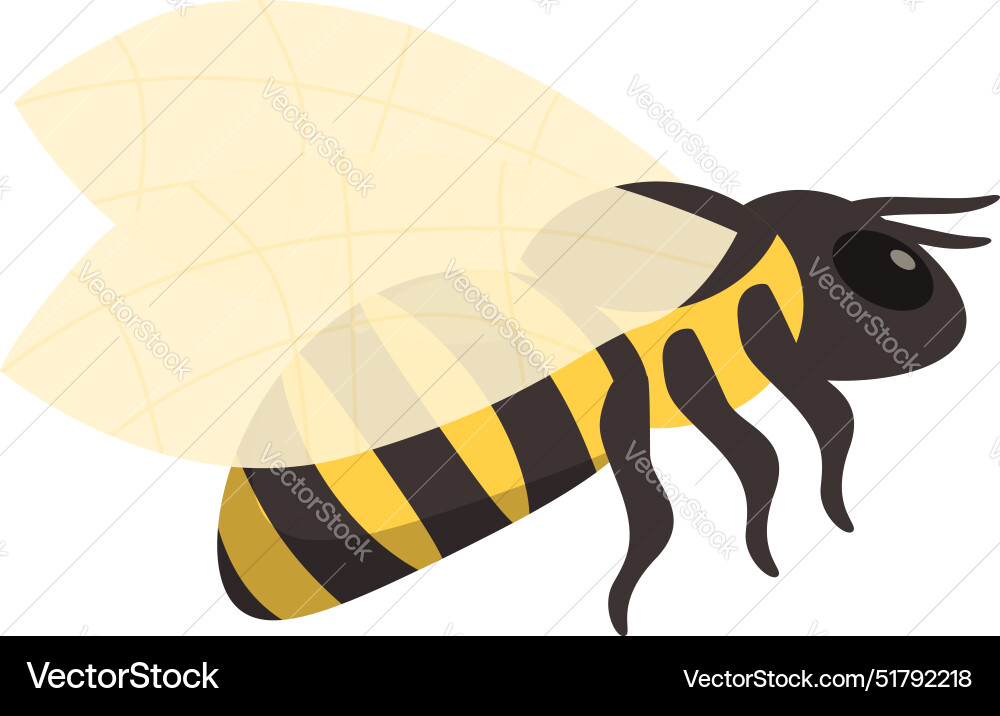 Cartoon bee flying with spread wings Royalty Free Vector
