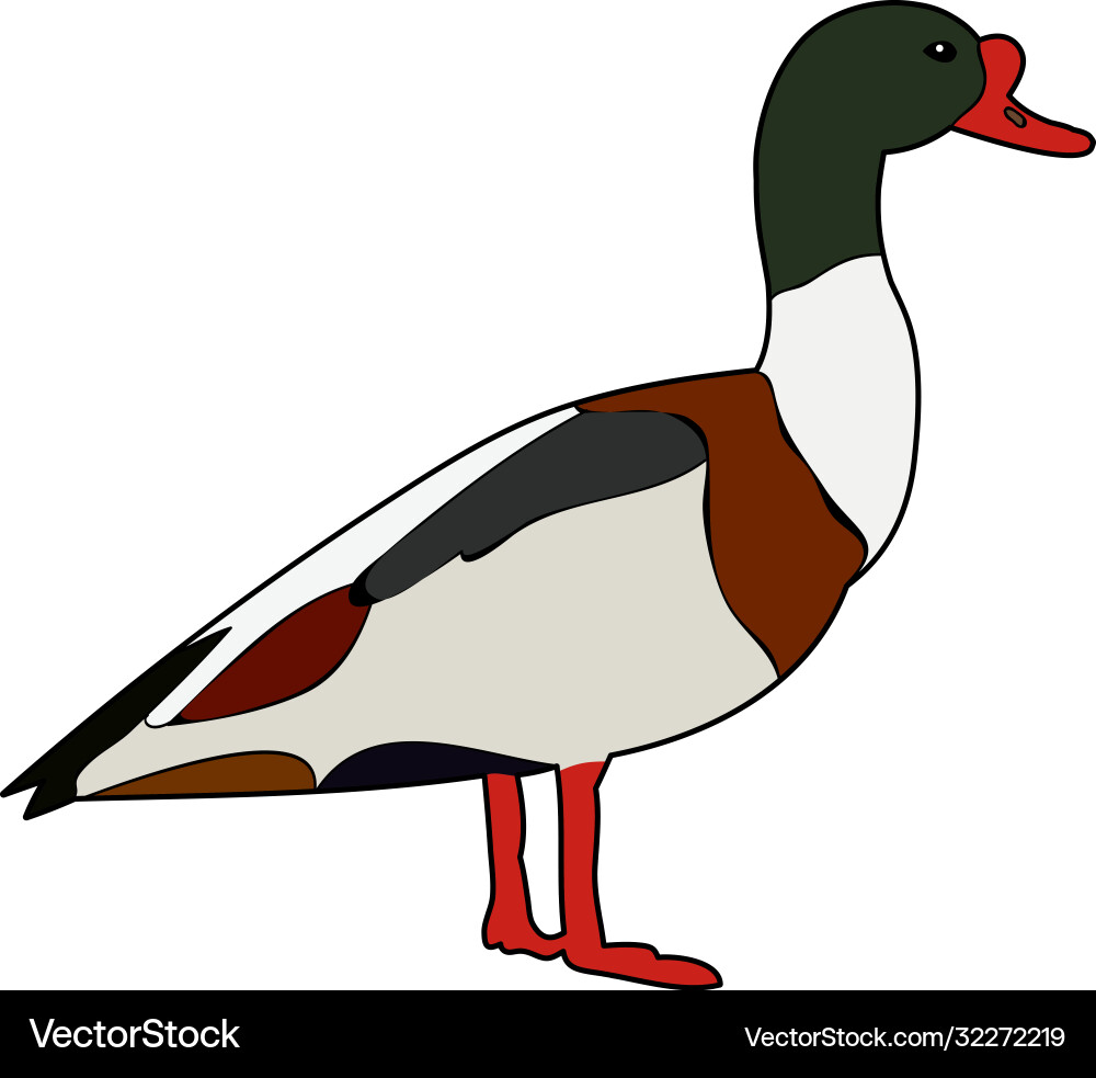 Bird goose duck on white background Royalty Free Vector