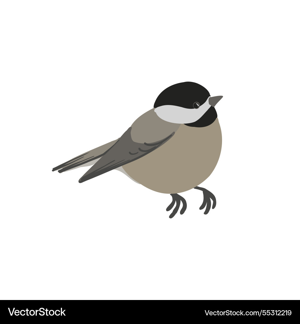 Drawing bird Royalty Free Vector Image - VectorStock