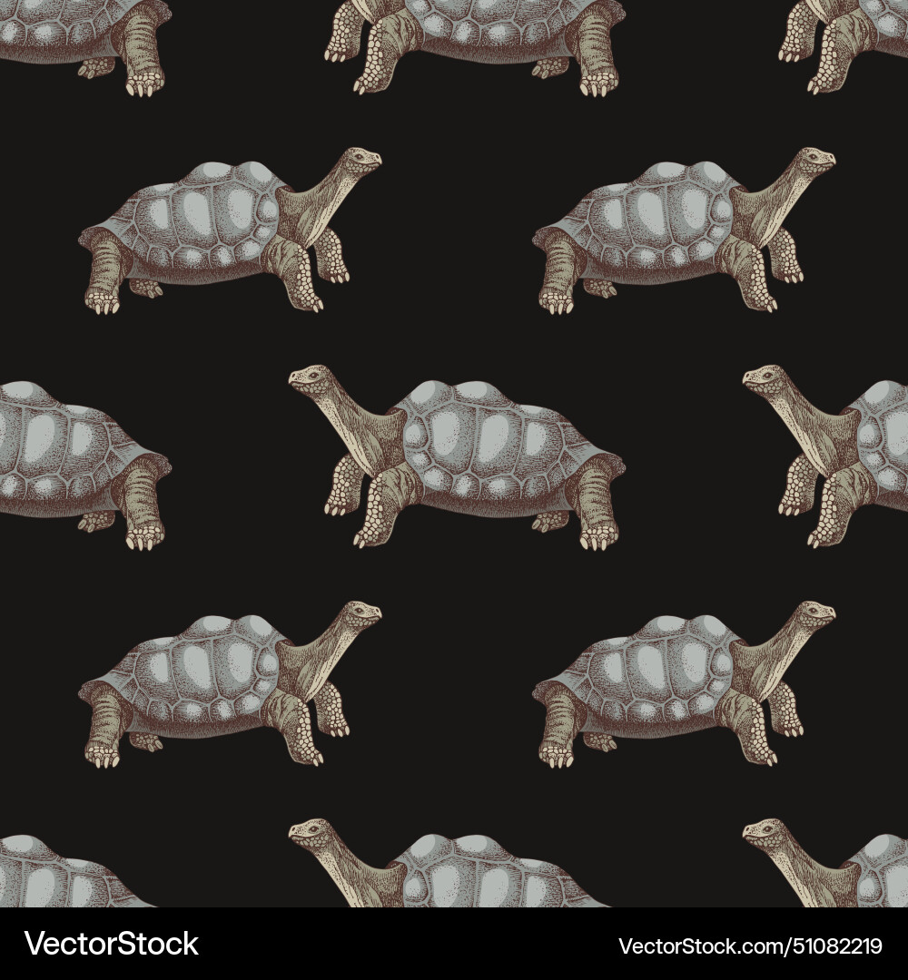 Pinta island turtle seamless pattern Royalty Free Vector