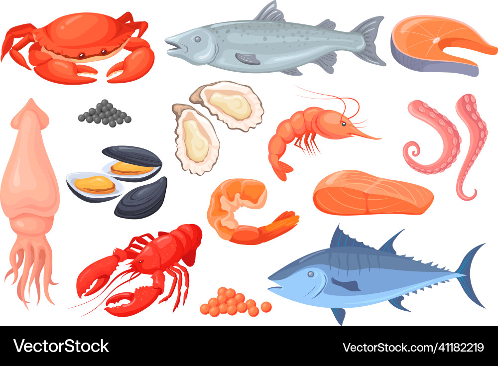 Raw Seafood Collection - Fish & Shellfish Vector Image