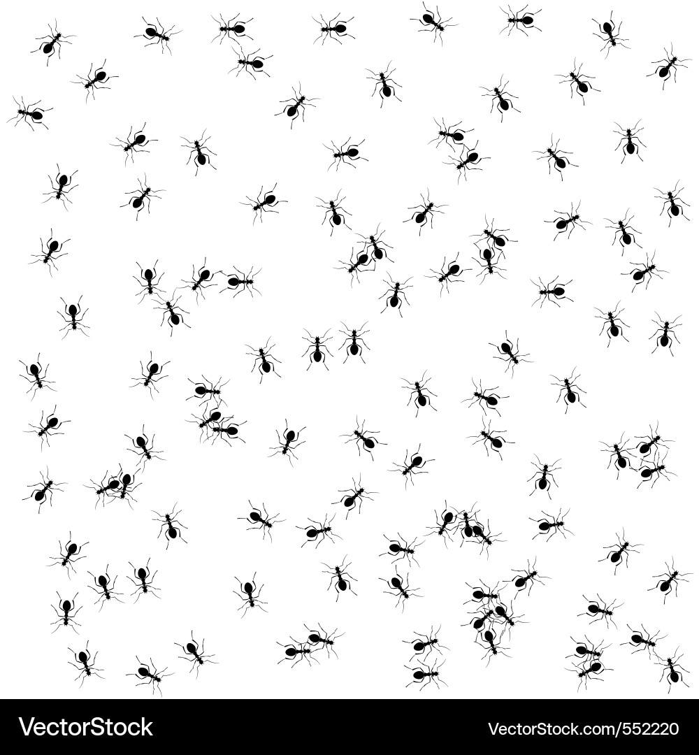 Ants Royalty Free Vector Image - VectorStock