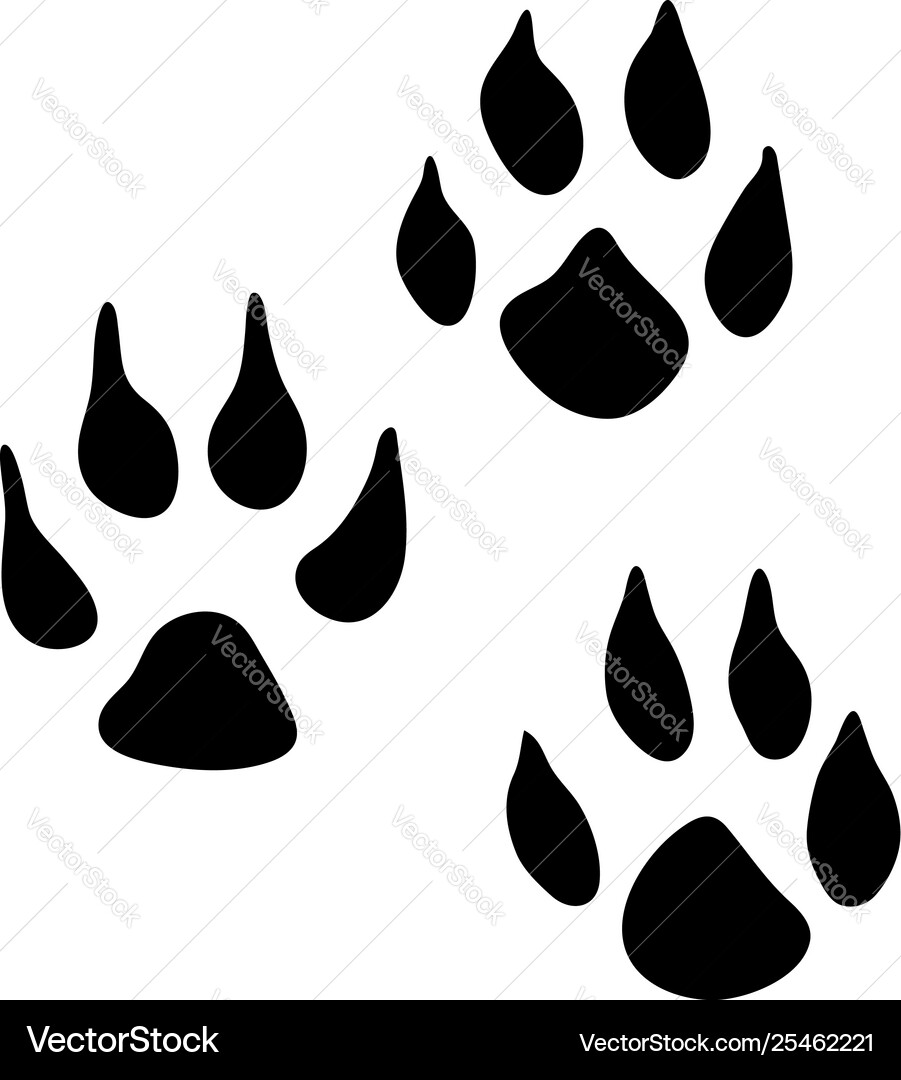 Weasel footprint Royalty Free Vector Image - VectorStock