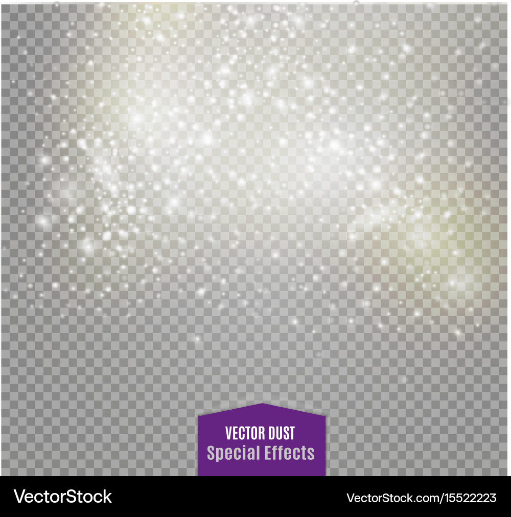 Dust on a transparent backgroundbright starsthe Vector Image