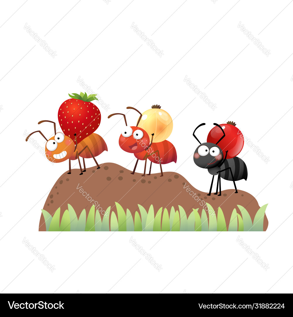 Grass Flashcard Vector Images (25)