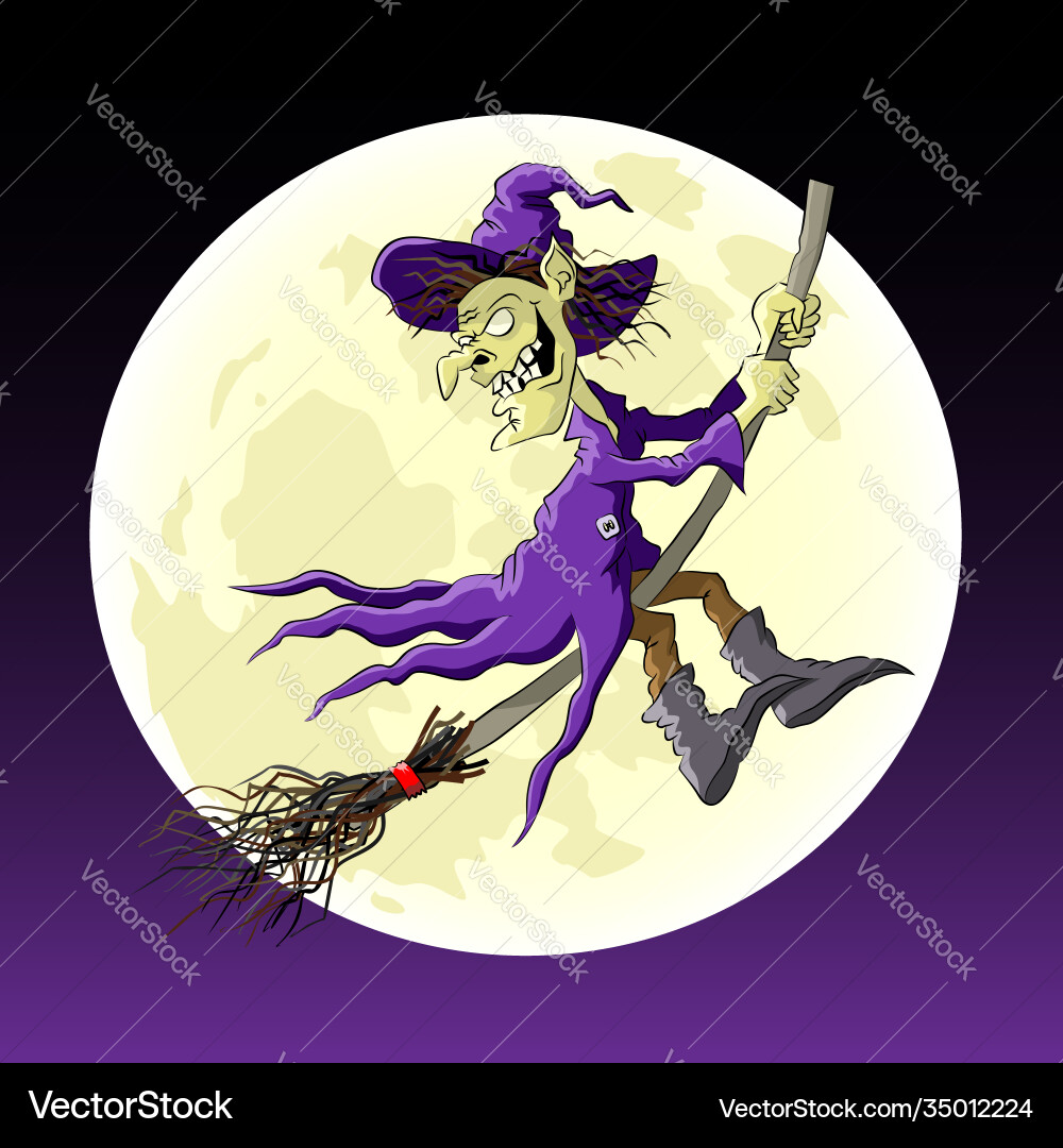Cartoon witch on a broom flying Royalty Free Vector Image