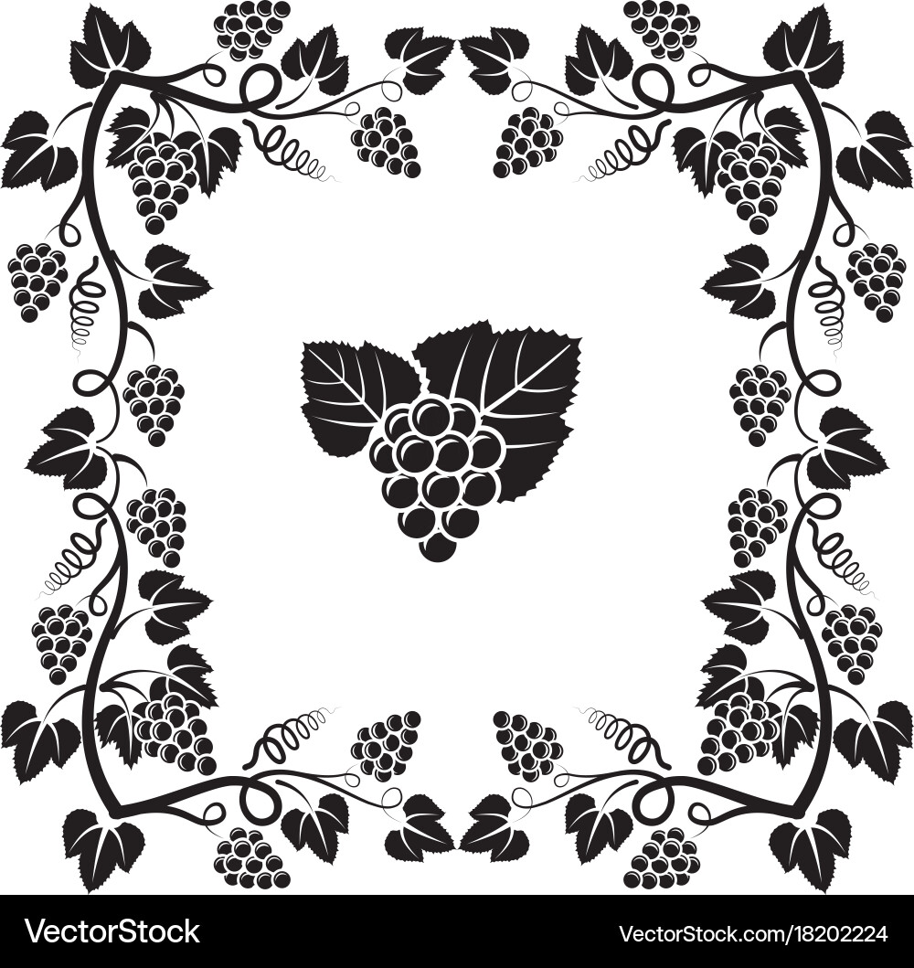 Grapevine Royalty Free Vector Image - VectorStock