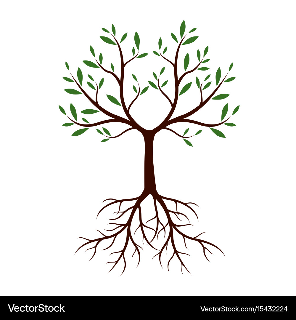 Natural tree with leaves and roots Royalty Free Vector Image