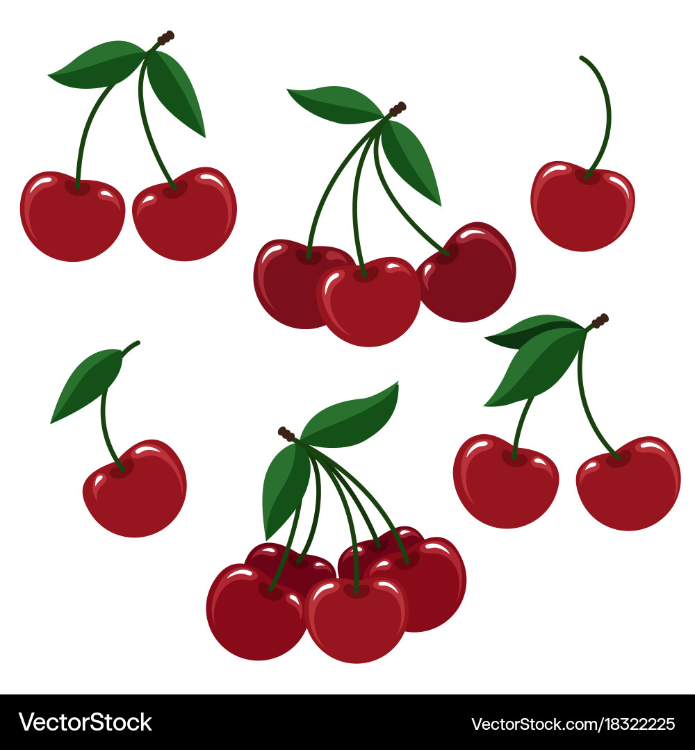 Fresh Cherry Berry Set Royalty Free Vector Image