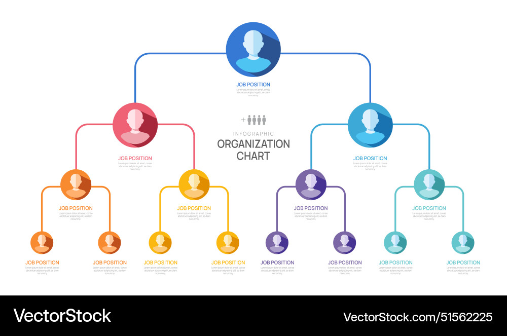 Infographic template for organization chart Vector Image