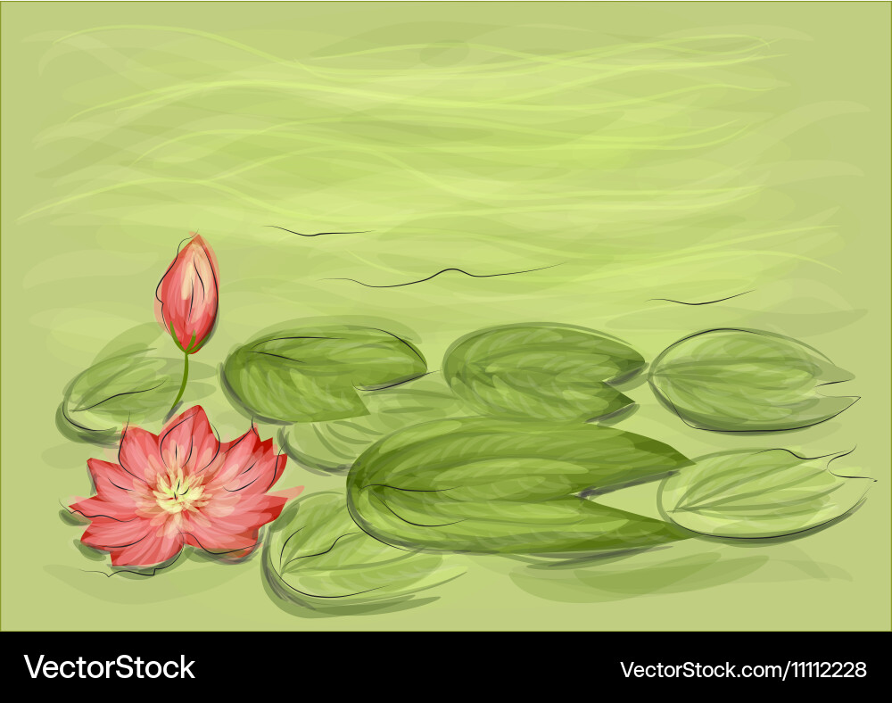 Lotus Royalty Free Vector Image - VectorStock