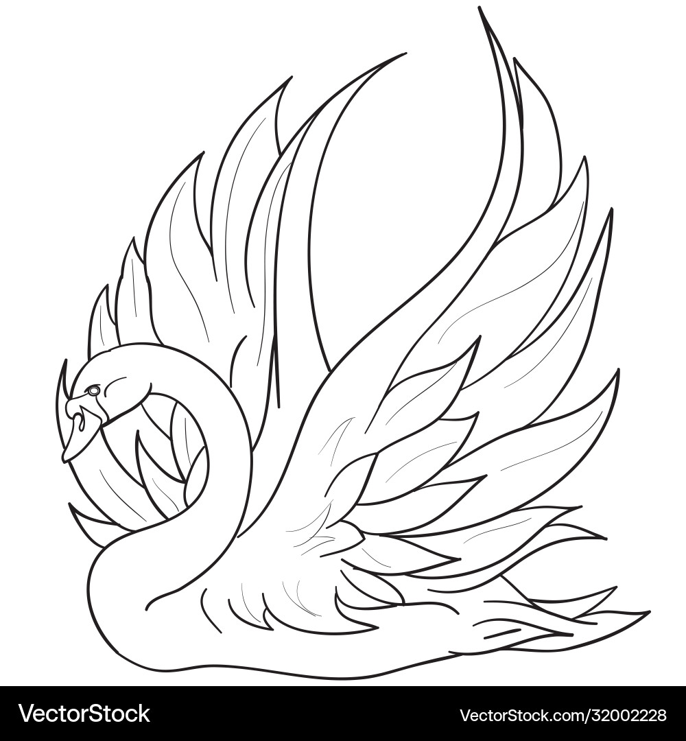 Sketch a beautiful swan with wings Royalty Free Vector Image