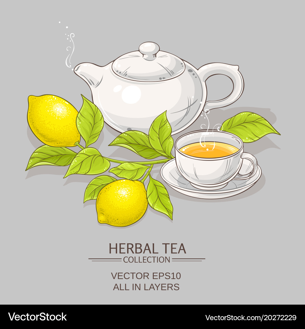 Lemon tea Royalty Free Vector Image - VectorStock