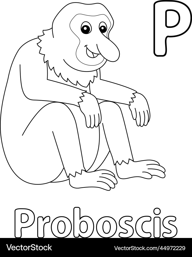 Proboscis monkey alphabet abc isolated coloring p Vector Image