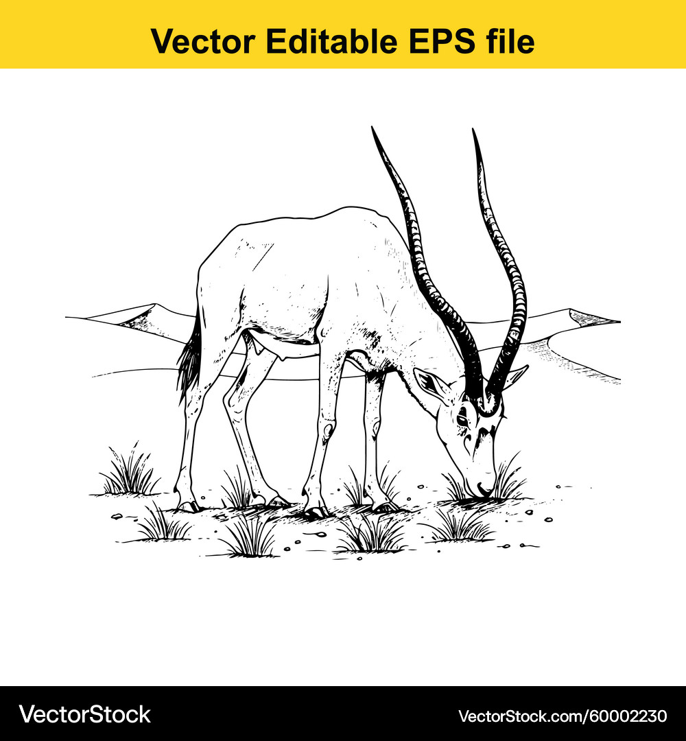 Ai-generated scimitar oryx grazing in a dry Vector Image