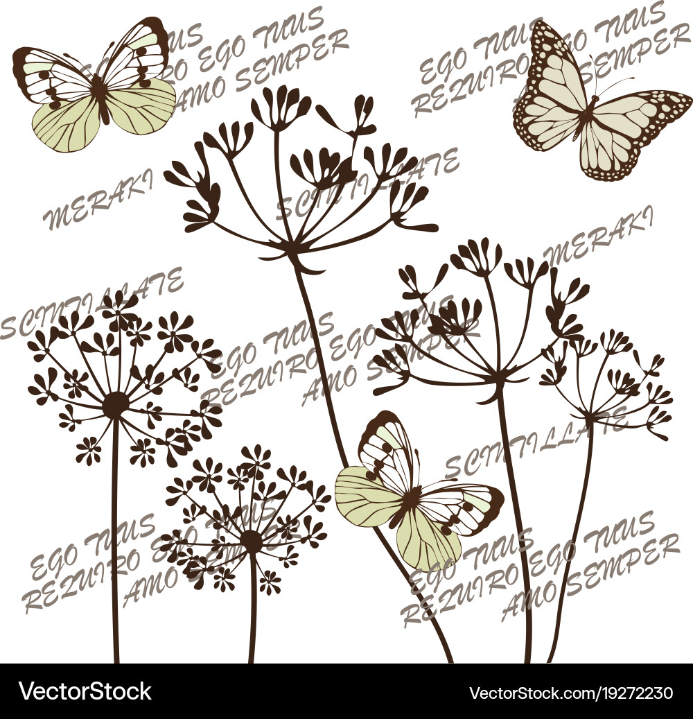 Botanical flowers Royalty Free Vector Image - VectorStock