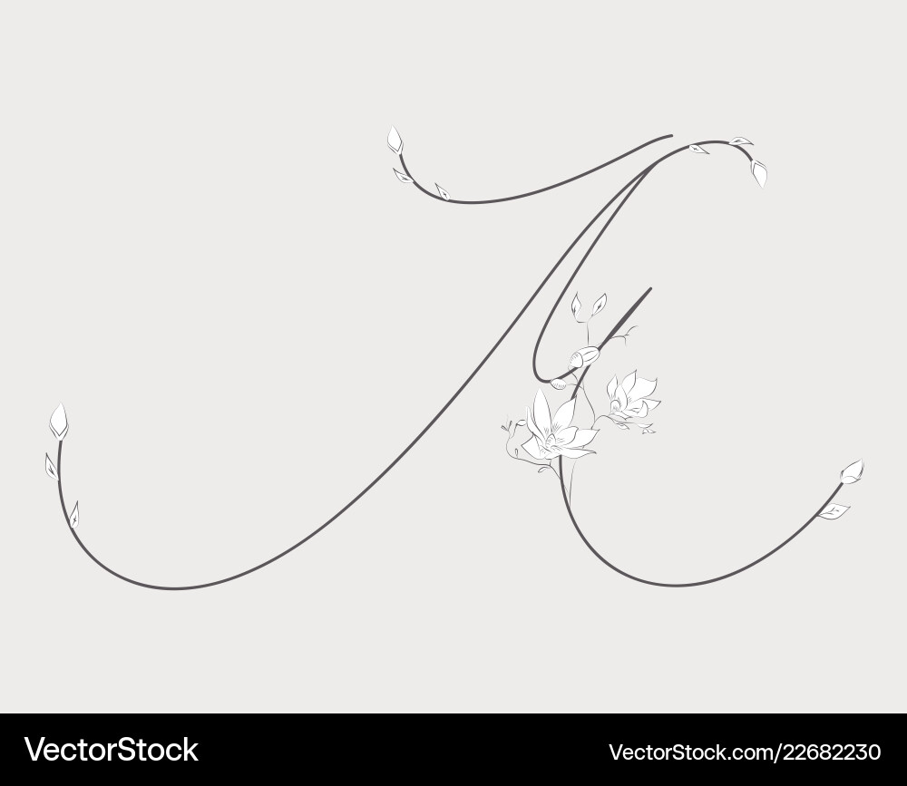Floral M Monogram & Logo Royalty Free Vector Image