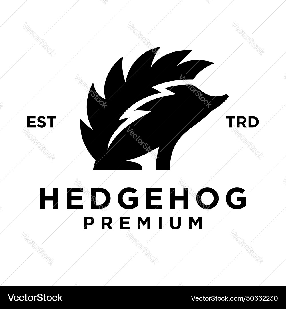 Hedgehog logo icon design Royalty Free Vector Image