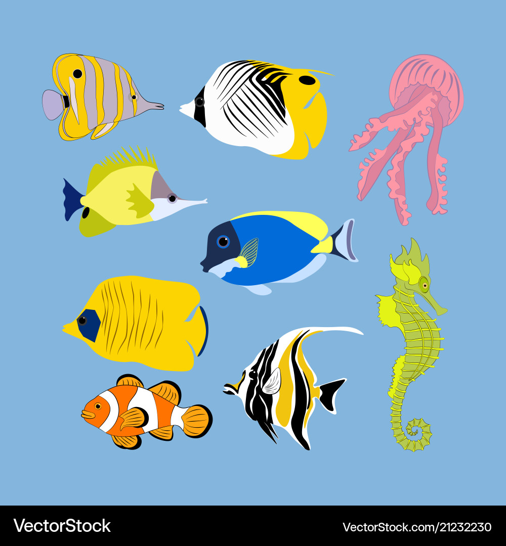 Tropical Fish Vector Tropical Fish Vectors Download Free