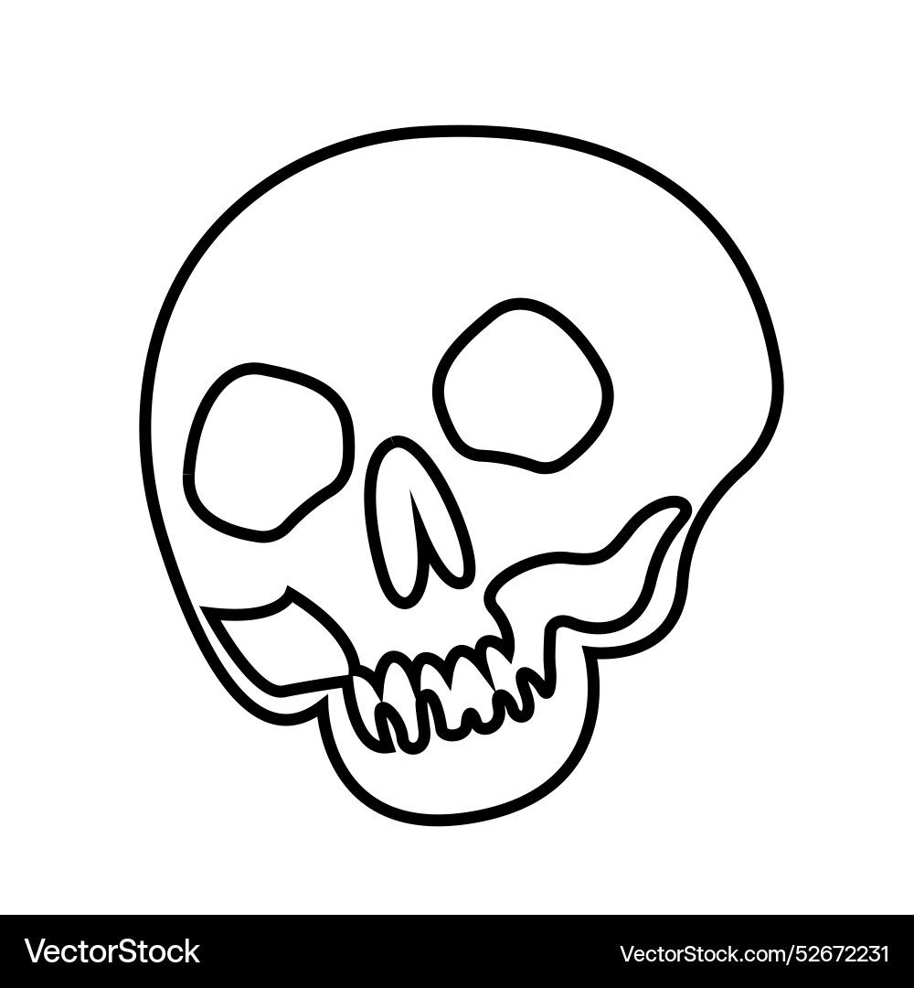 Human skull line art isolated Royalty Free Vector Image