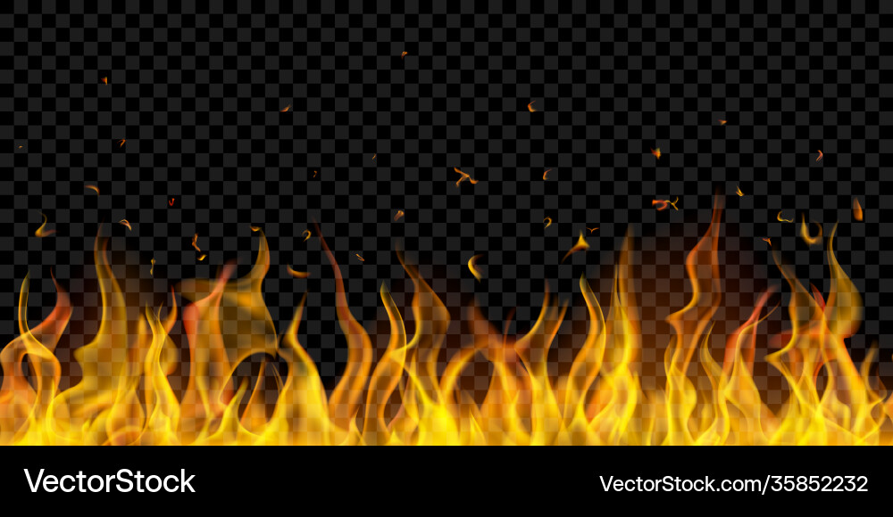 Background fire flames Royalty Free Vector Image