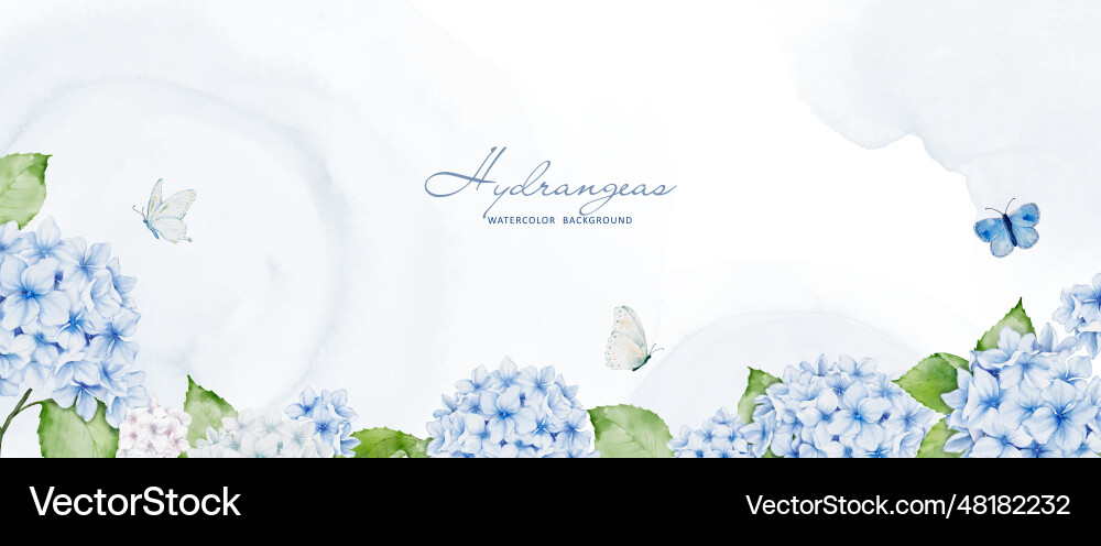 Horizontal background with blue hydrangea Vector Image
