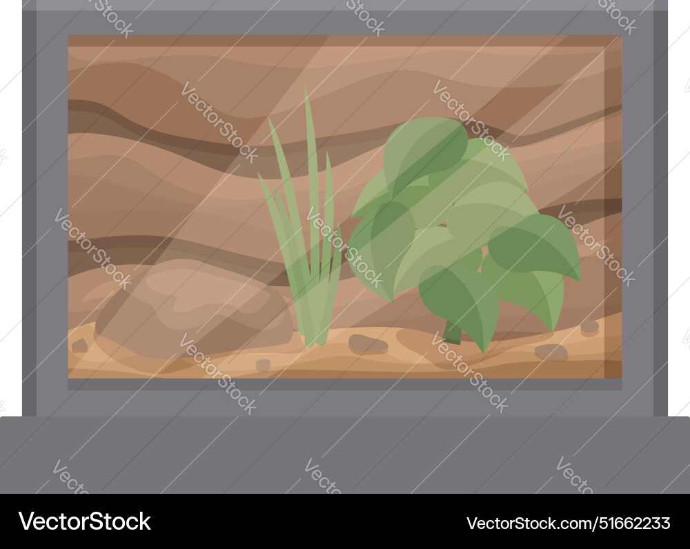 Empty terrarium with soil and plants is waiting Vector Image