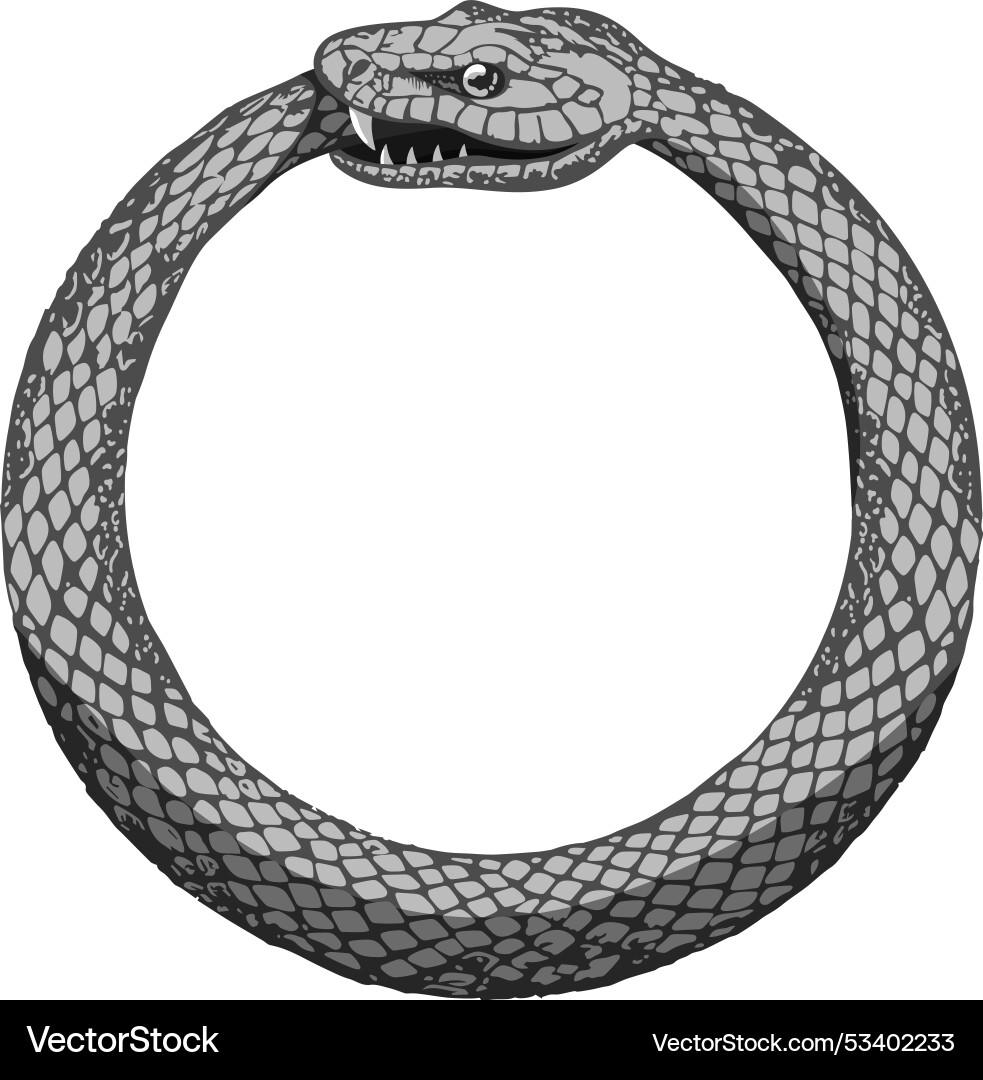 Ouroboros snake eats tail mythology eternity Vector Image