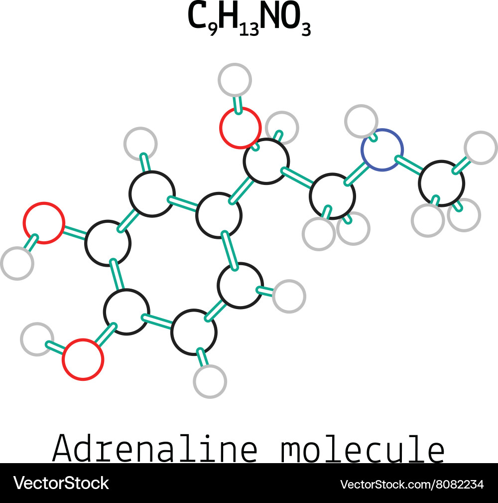 Adrenaline (Epinephrine) Molecule 3D Structure Vector Image