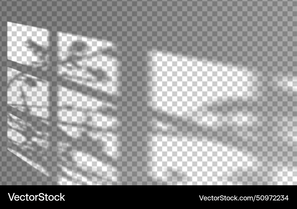 Light effect shadow overlay from window and plant Vector Image