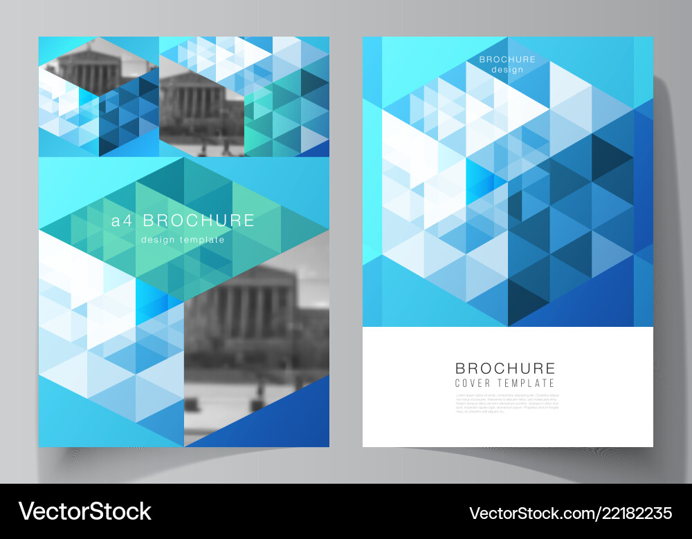 Layout of a4 format modern cover Royalty Free Vector Image