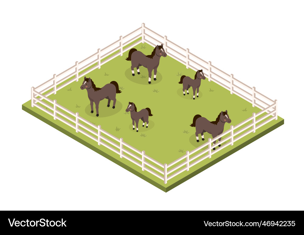 Paddock with horses Royalty Free Vector Image - VectorStock