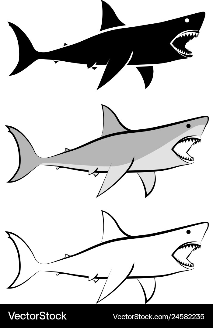Shark Royalty Free Vector Image - VectorStock