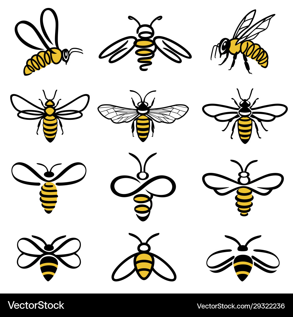 Bee Queen Vector Images (über 3,400)