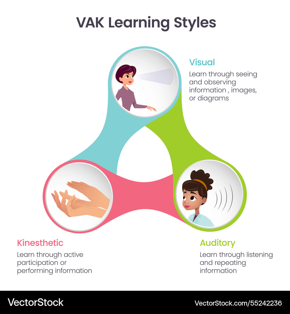 Vak learning styles Royalty Free Vector Image - VectorStock