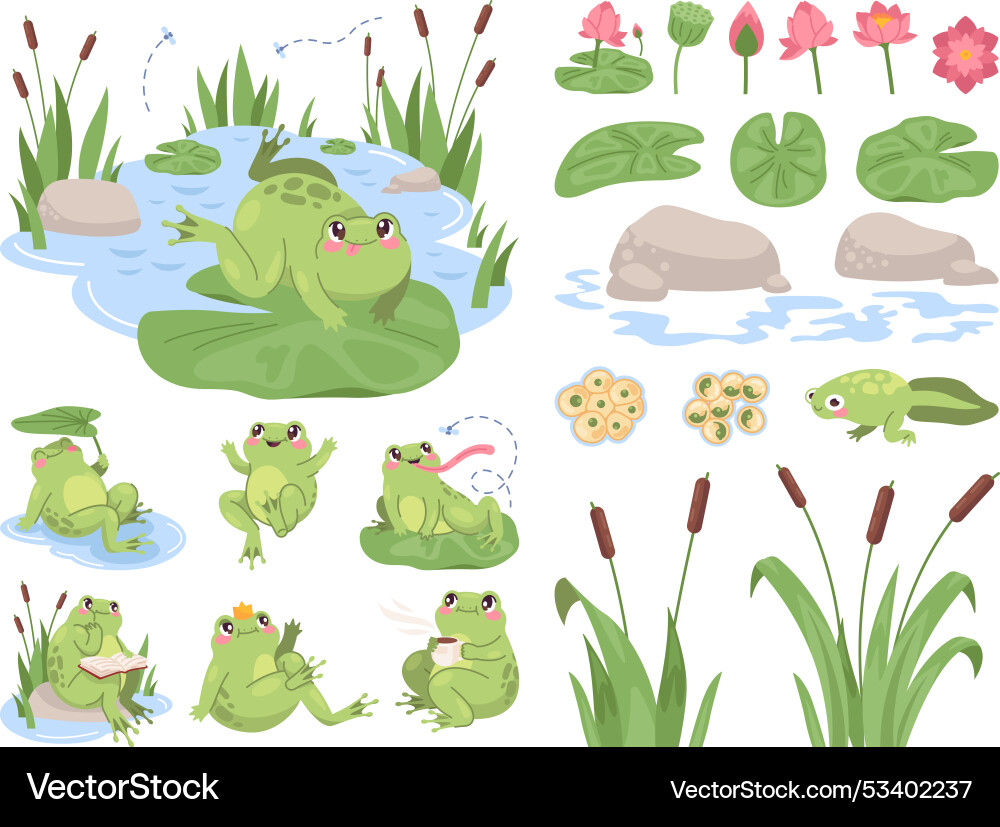 Cartoon frog pond green frogs or swamp toads Vector Image
