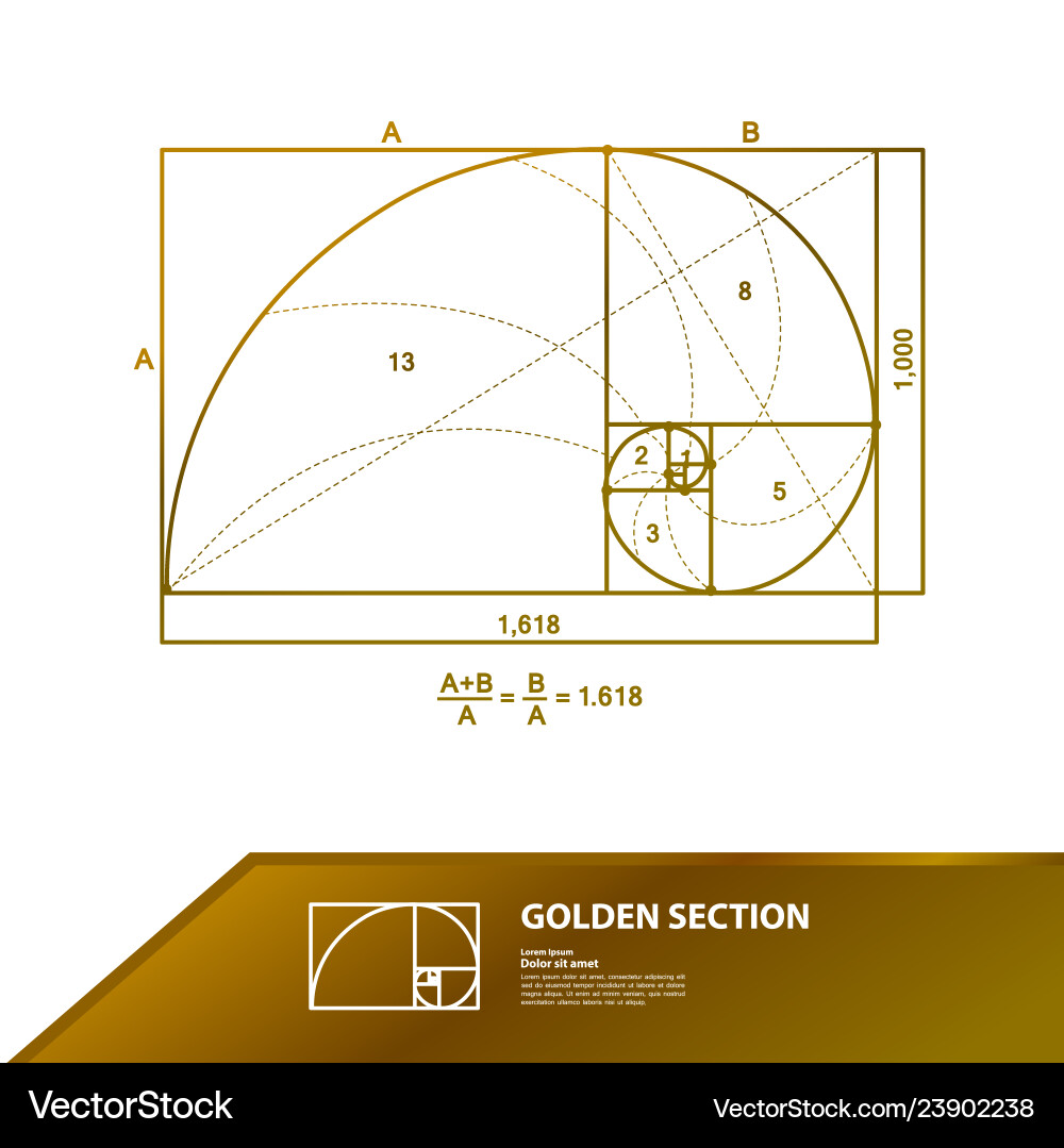 Golden ratio for creative design section Vector Image