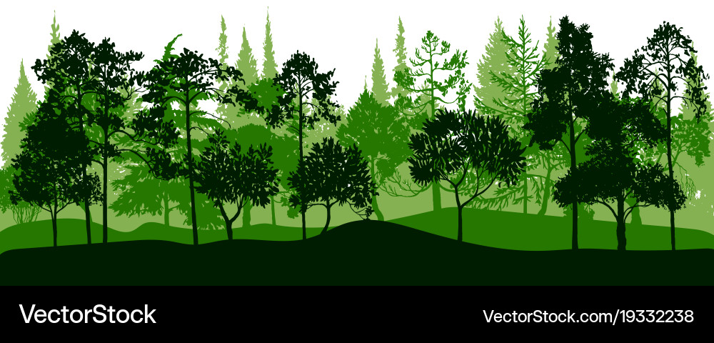 Landscape with pine trees Royalty Free Vector Image