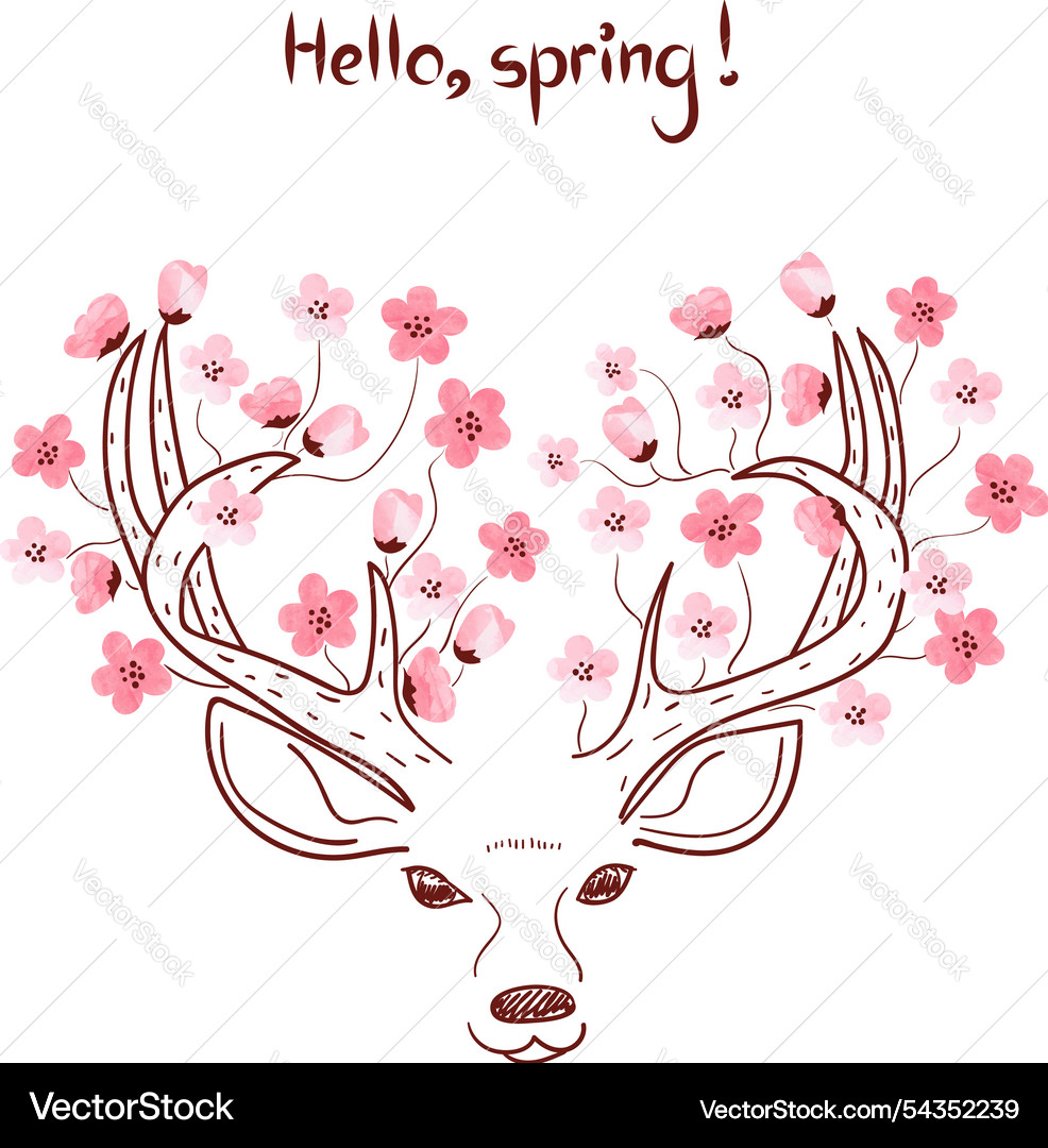 Hello spring sketchy deer Royalty Free Vector Image