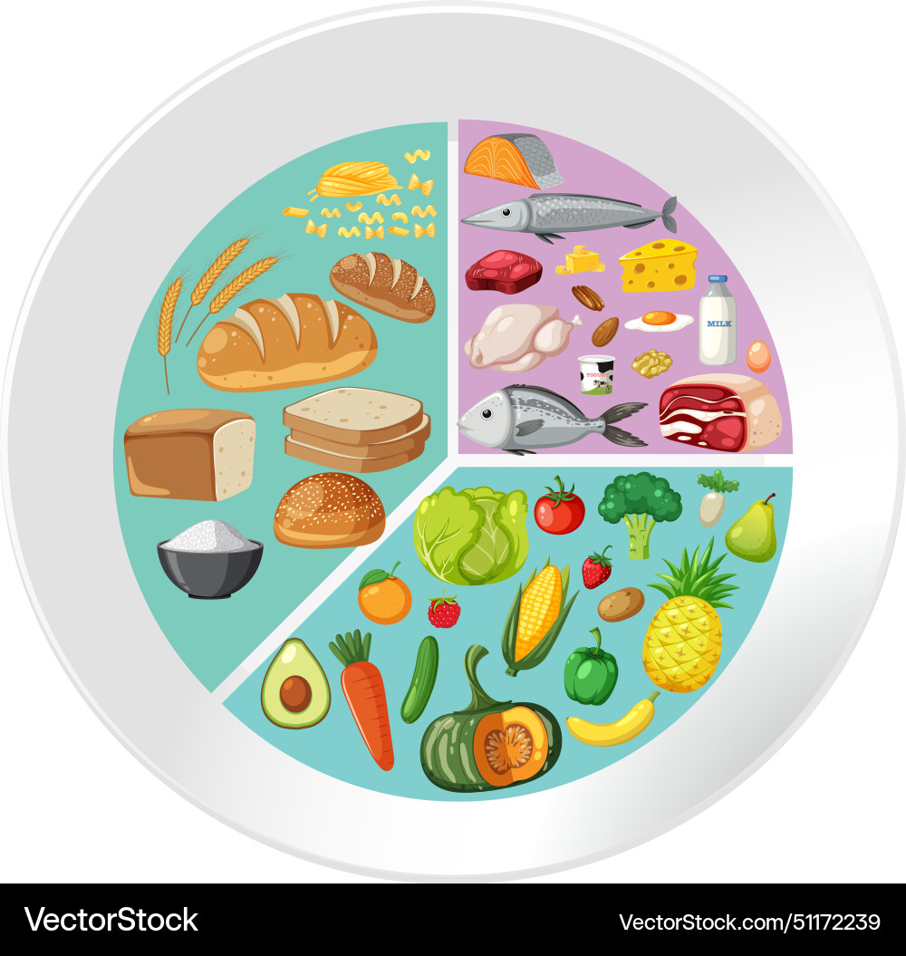 Various food groups in vibrant colors Royalty Free Vector