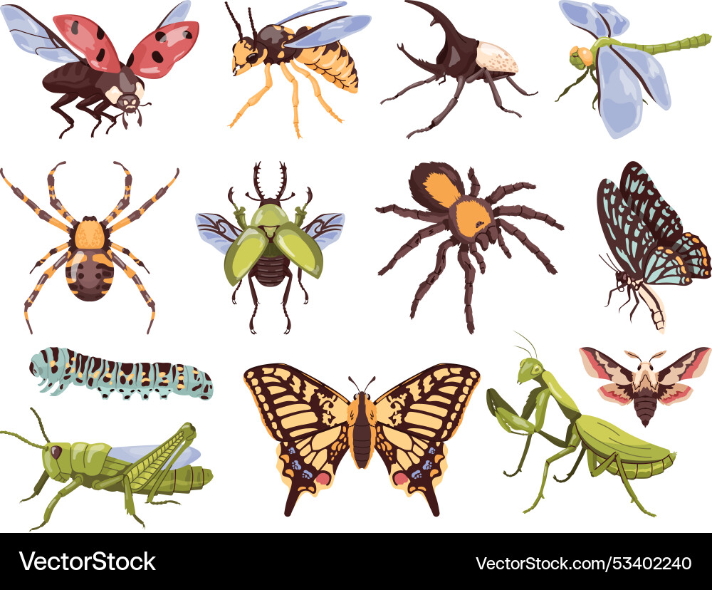 Colorful different insects various insect closeup Vector Image