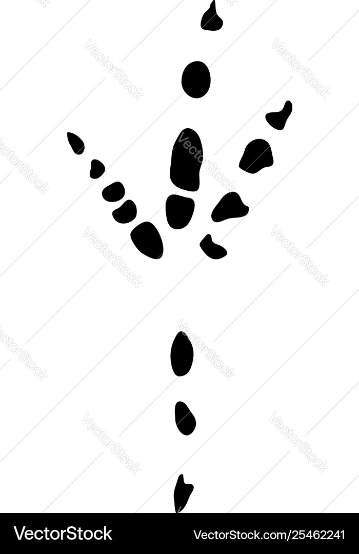 Crow footprint Royalty Free Vector Image - VectorStock