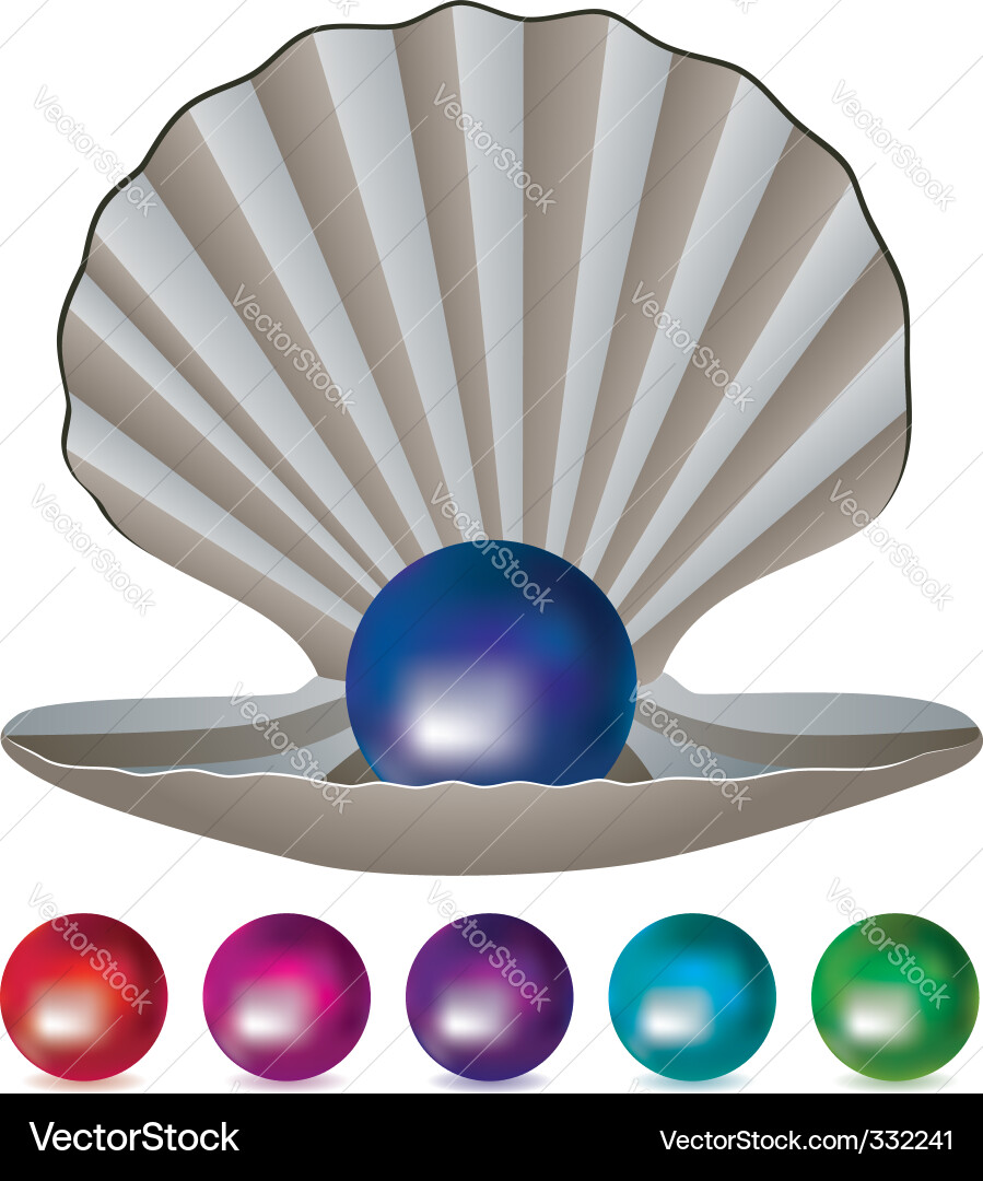 Pearls and shell Royalty Free Vector Image - VectorStock