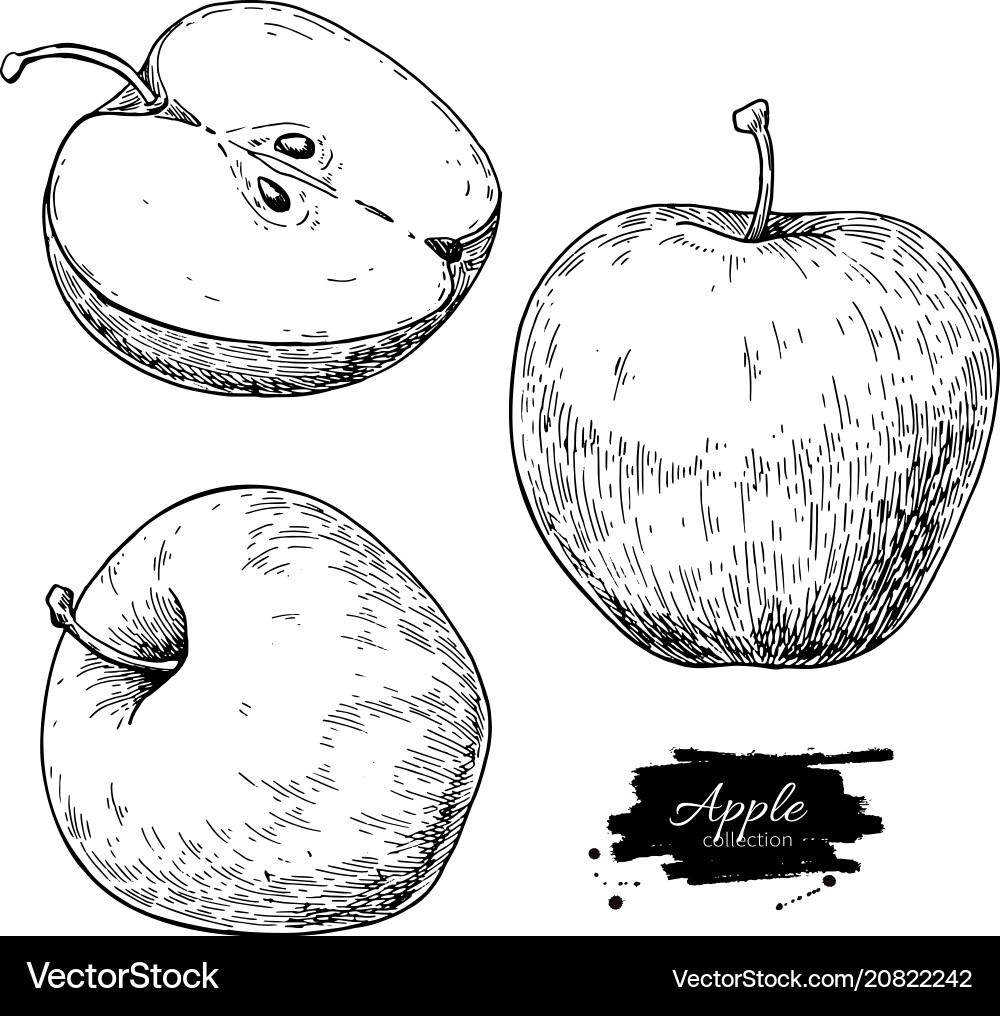 Geschnittener Apfel Zeichnung Ernährung: Keine Braunen Äpfel Mehr