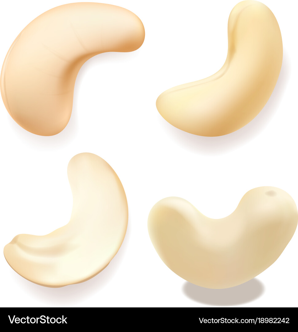Cashew nut realistic set Royalty Free Vector Image